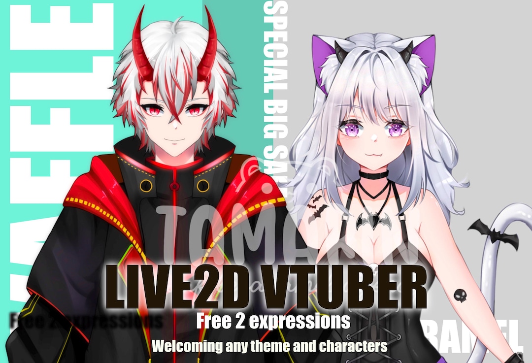 CUSTOM VTUBER LIVE2D Anime Art Commission Commercial Use Live 2d Model ...