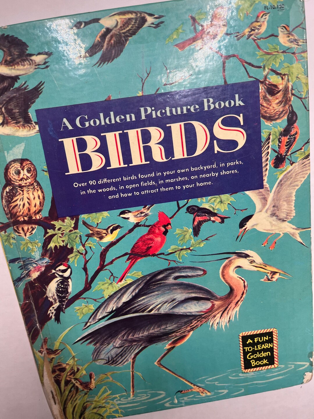 A Golden Picture Book Birds - Etsy