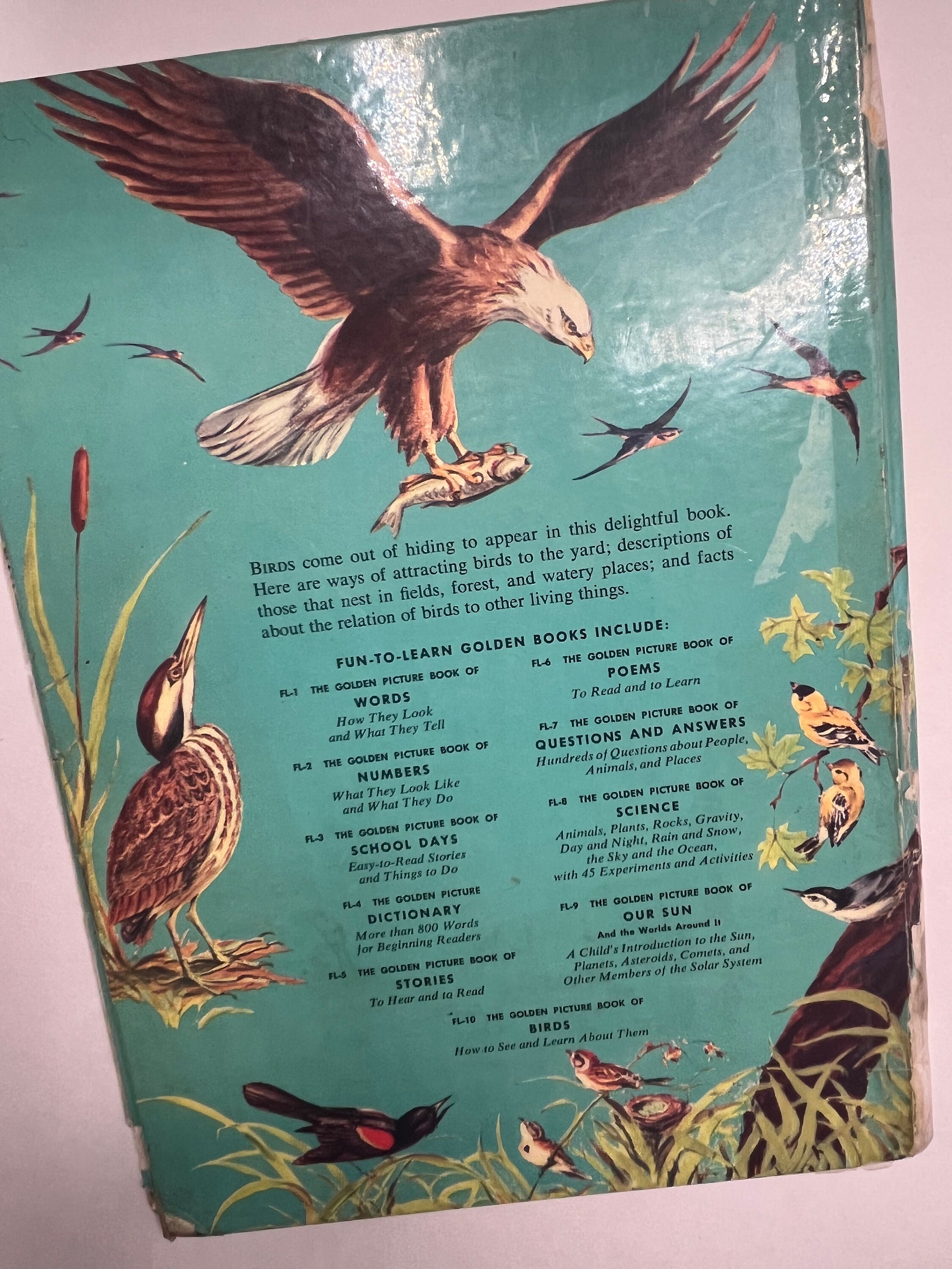 A Golden Picture Book Birds - Etsy
