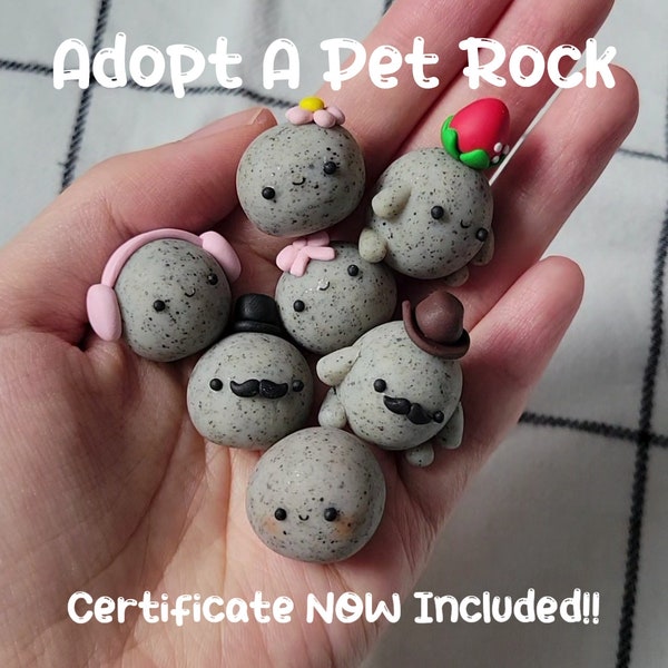 Pet Rock - Etsy