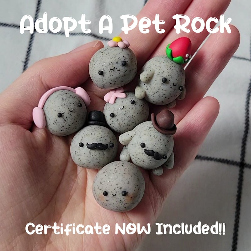 Pet Rock - Etsy