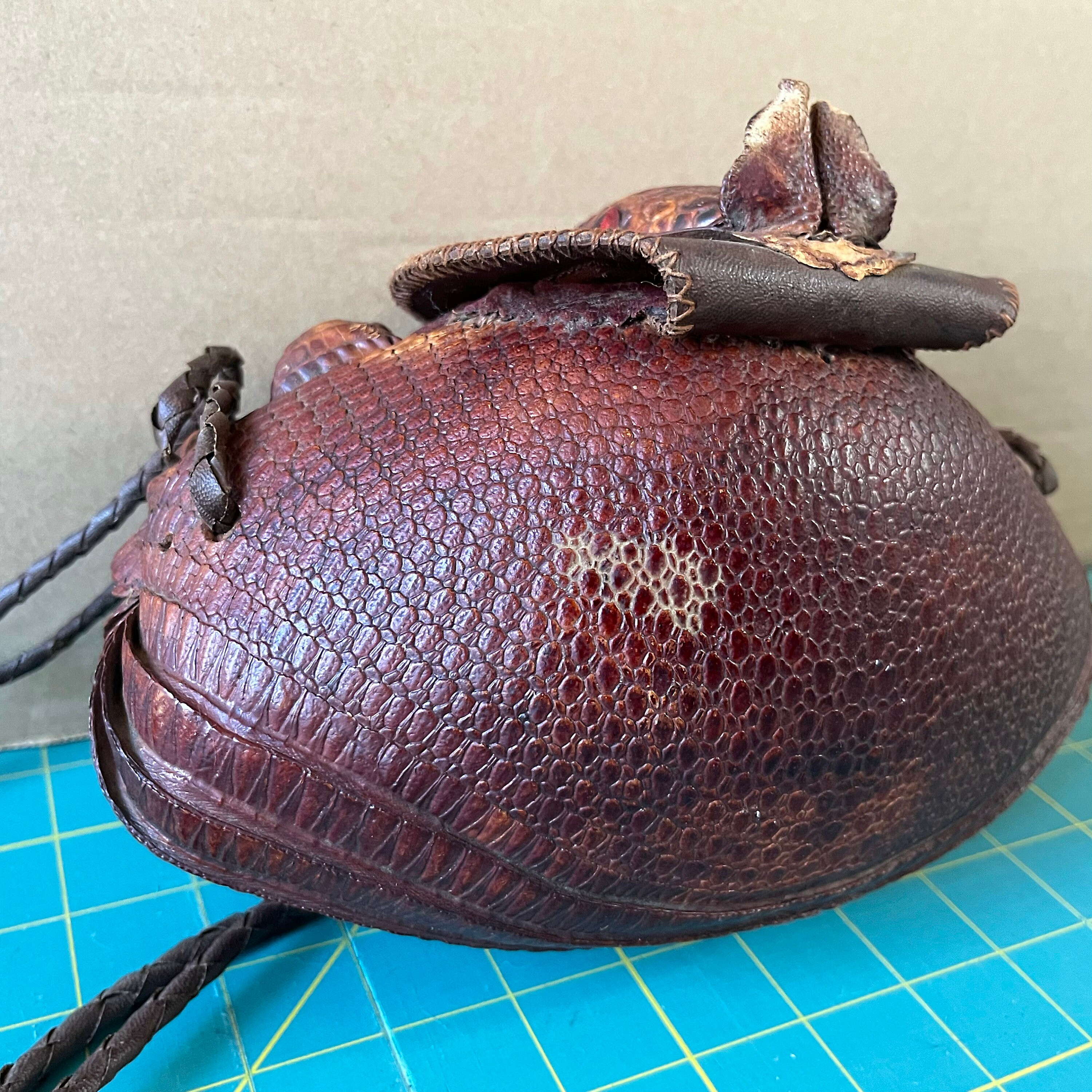 Vintage Taxidermy Armadillo Bag/purse/handbag - Etsy