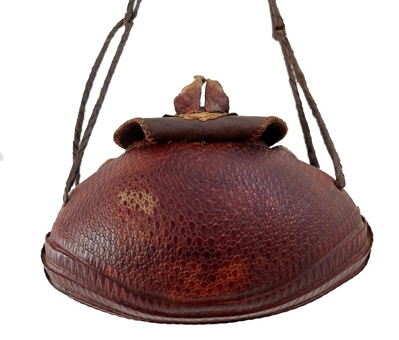 Vintage Taxidermy Armadillo Bag/purse/handbag - Etsy
