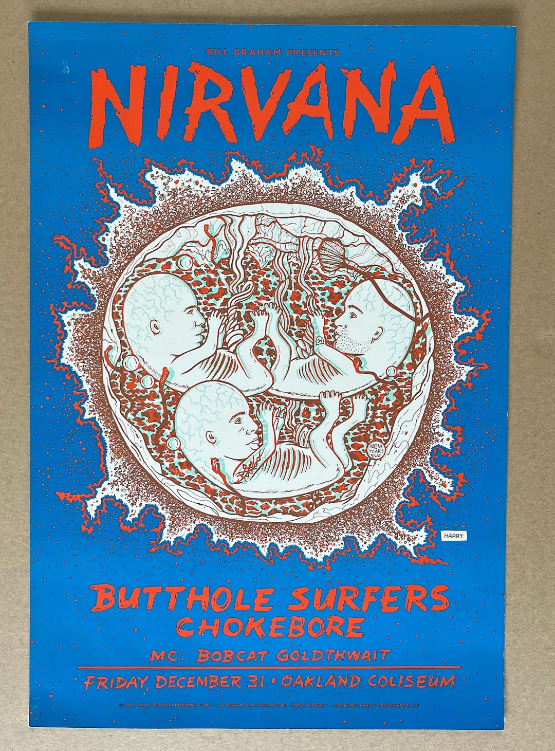 Nirvana/butthole Surfers New Year's Eve 3D Poster by Harry Rossit ...