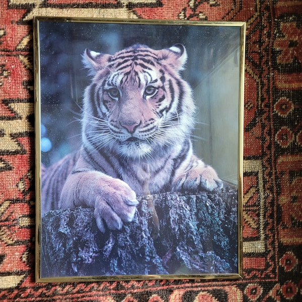 Framed Tiger Print - Etsy