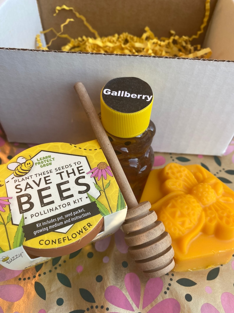Monthly Subscription Honey Bee Box Bee Gift Box With Florida - Etsy