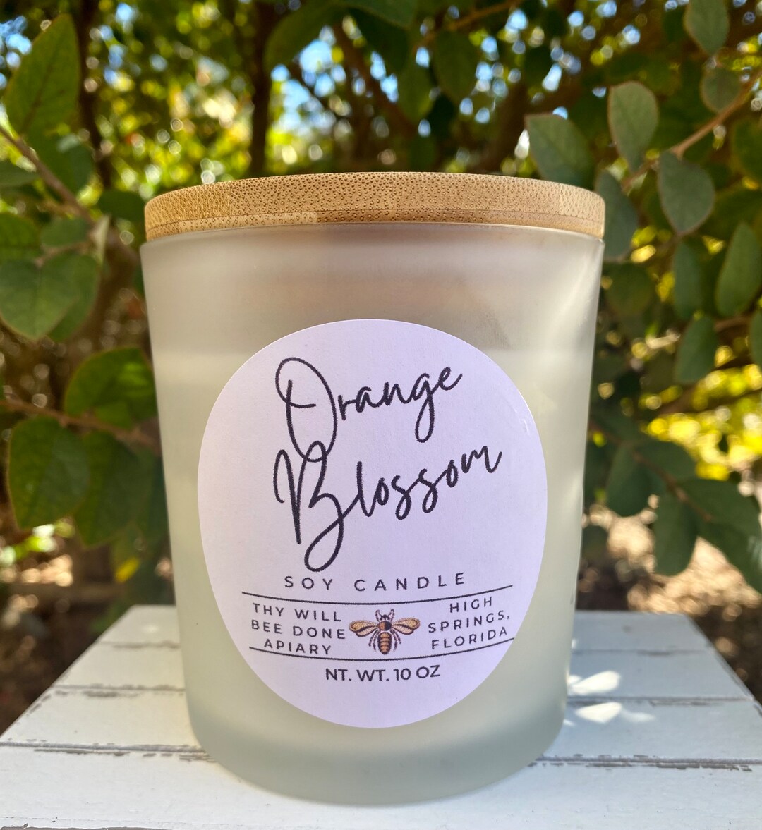 Florida Orange Blossom Candle, 10oz Vegan Luxury Soy Candle, Florida ...