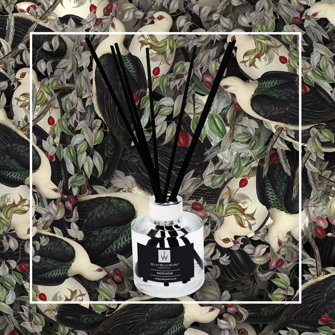 White Dove Highly Scented 100ml/200ml Reed Diffuser or 100ml Refill ...