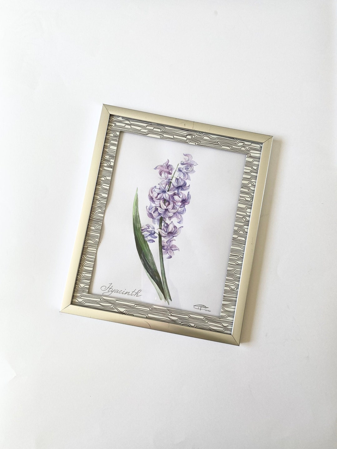 Flower Illustration Hyacinth , Watercolor Painting Purple Flower ...