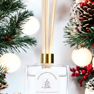 Sugared Cranberries Reed Diffuser | Holiday Scent | Room Diffuser | Oil ...