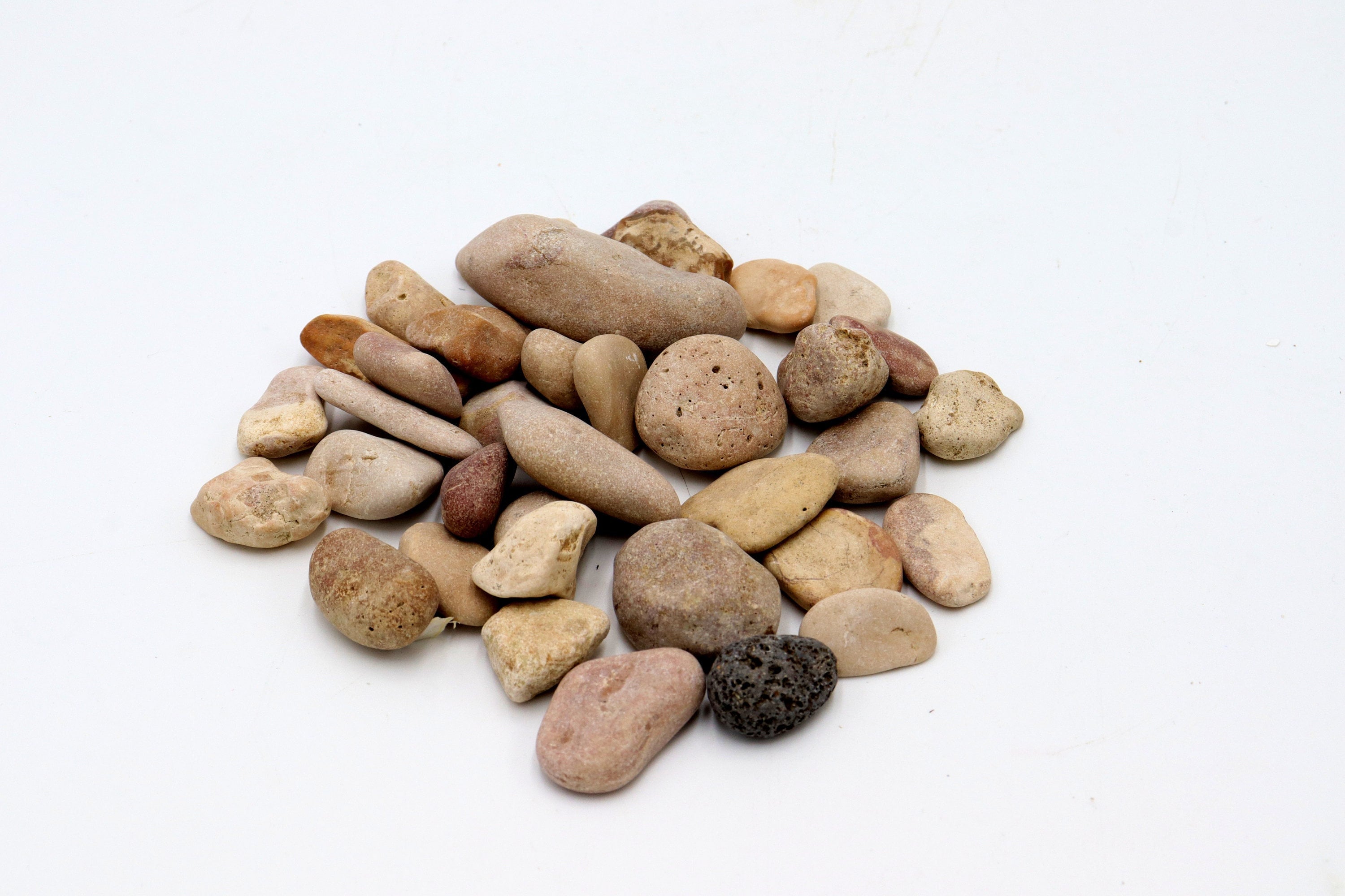 4 Rock Stones From the Sea of Galilee Lake Holy Land Jesus - Etsy Israel