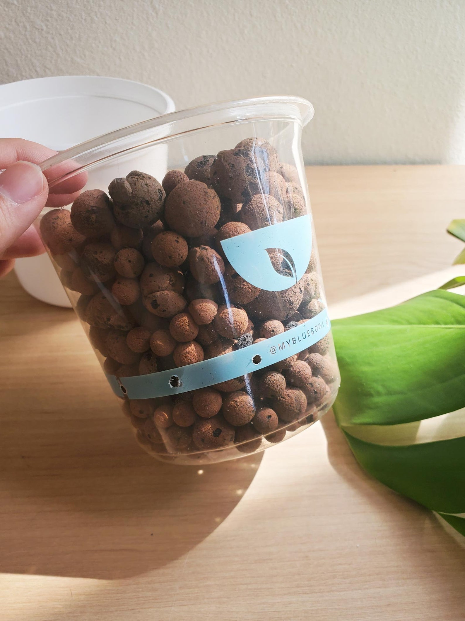 Repurposed LECA pots for semi hydroponics net pots | Etsy