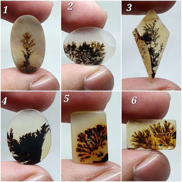 Dendritic Agate Cabochons - Etsy