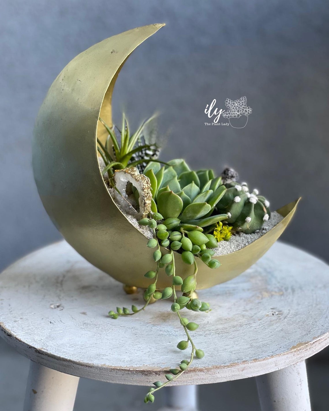 Gold Crescent Moon Succulent Arrangement Metal Moon Planter - Etsy