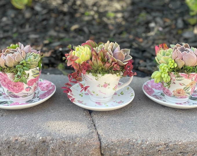 Vintage Floral Teacup Planters Succulent Arrangements, Adorable Teacups ...