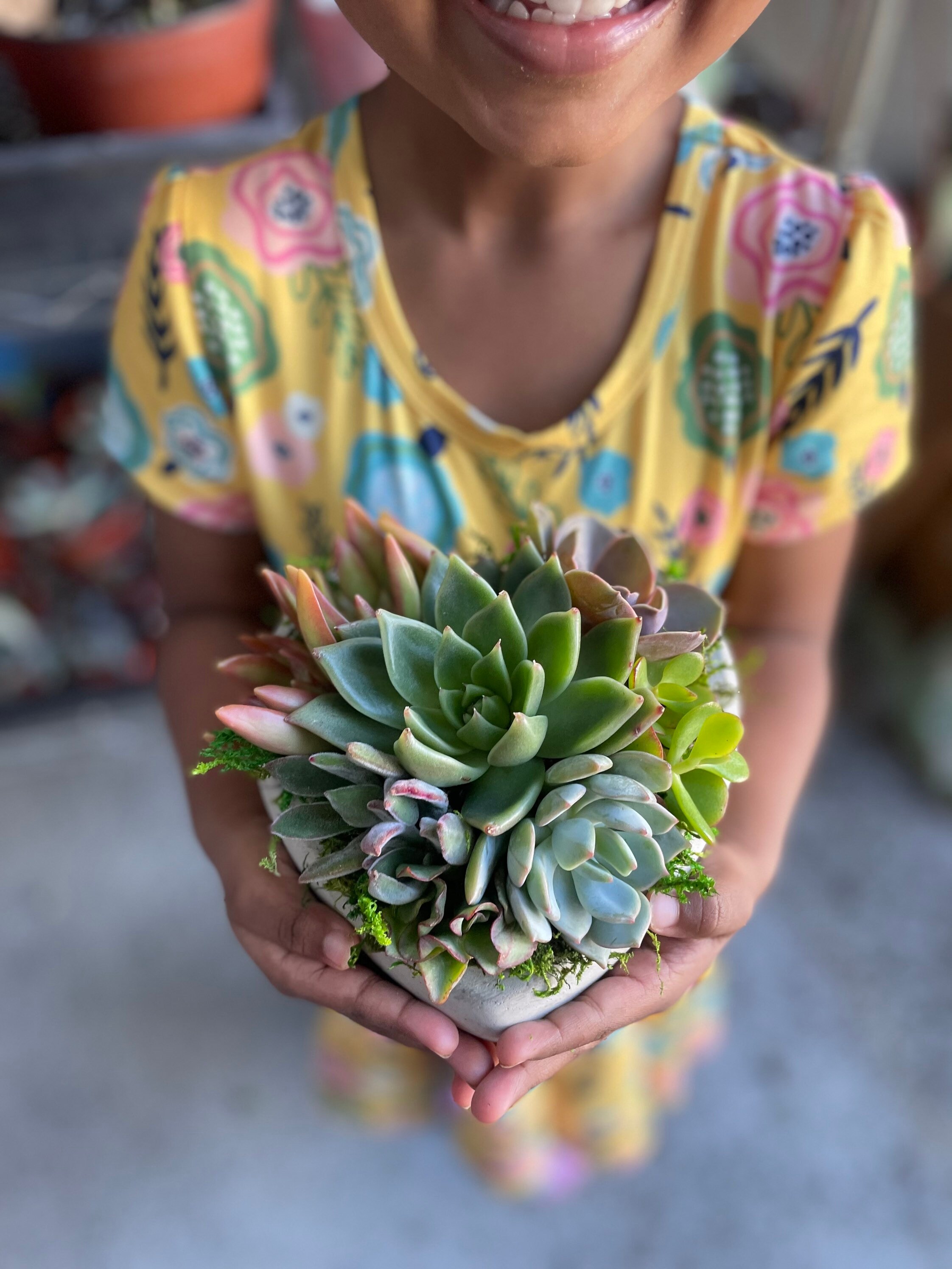 5 Cement Heart Shaped Planter With Live Succulent Arrangement - Etsy