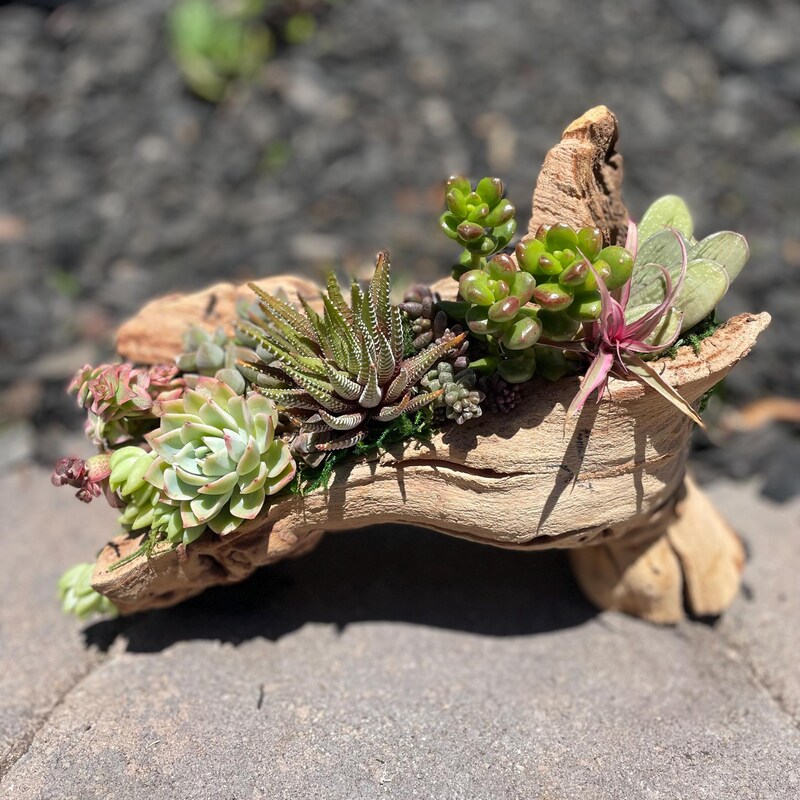 Grapevine Planter - Etsy