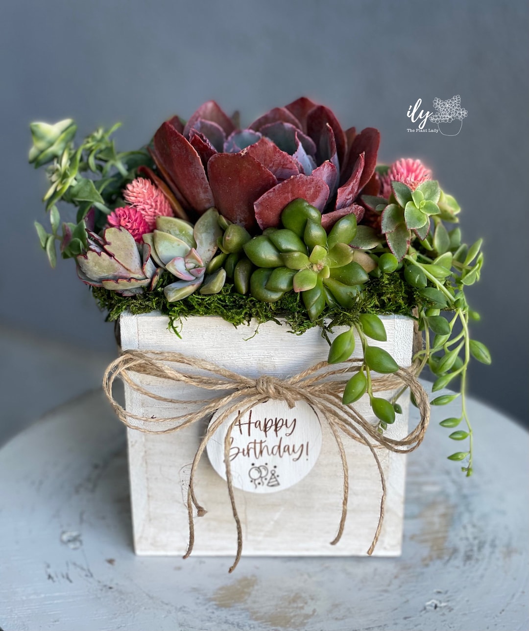 Custom Succulent Arrangement for All Occasions | Christmas | Birthday ...