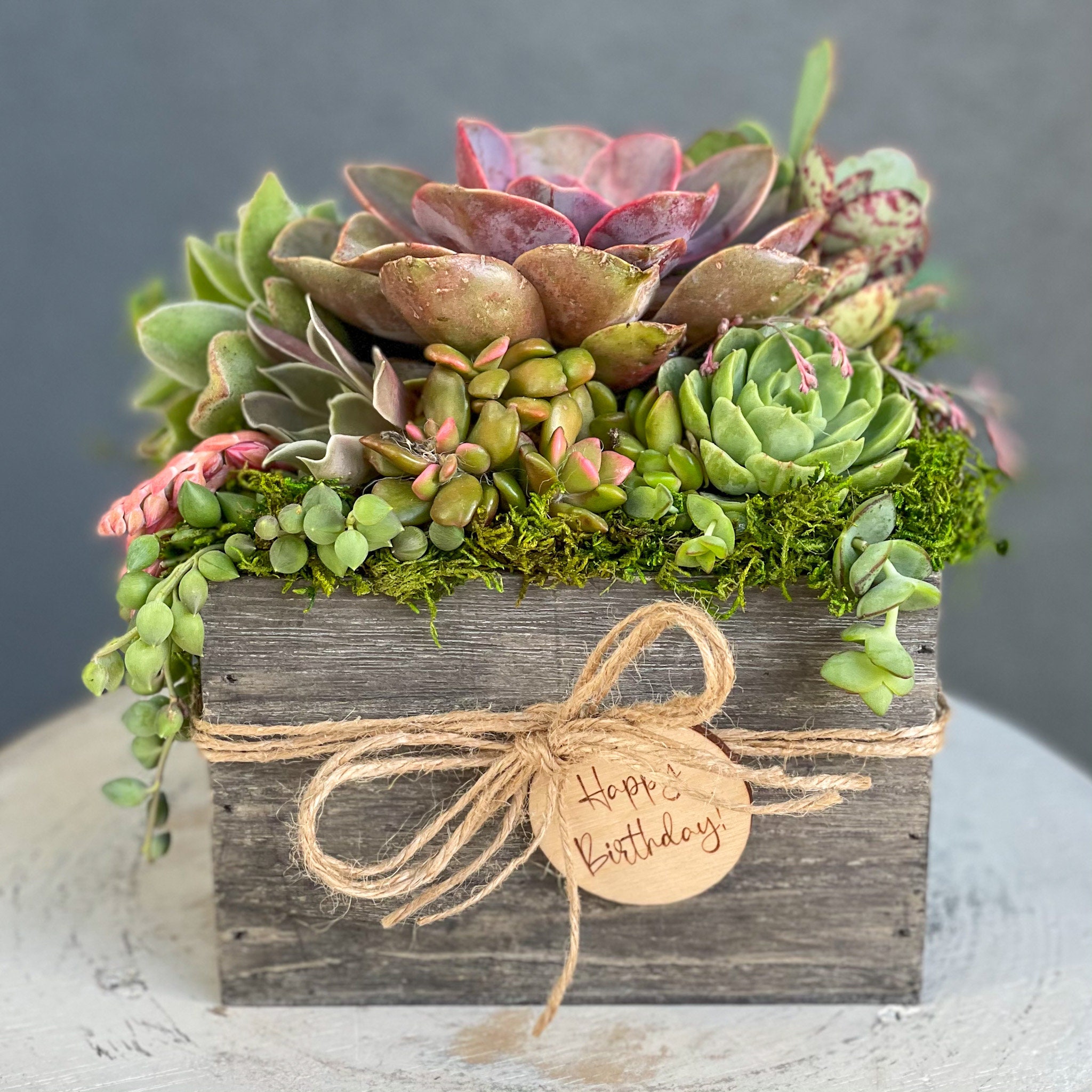 Custom Succulent Arrangement Sympathy Succulent Gift Etsy custom-succulent-arrangement-sympathy-succulent-gift-etsy