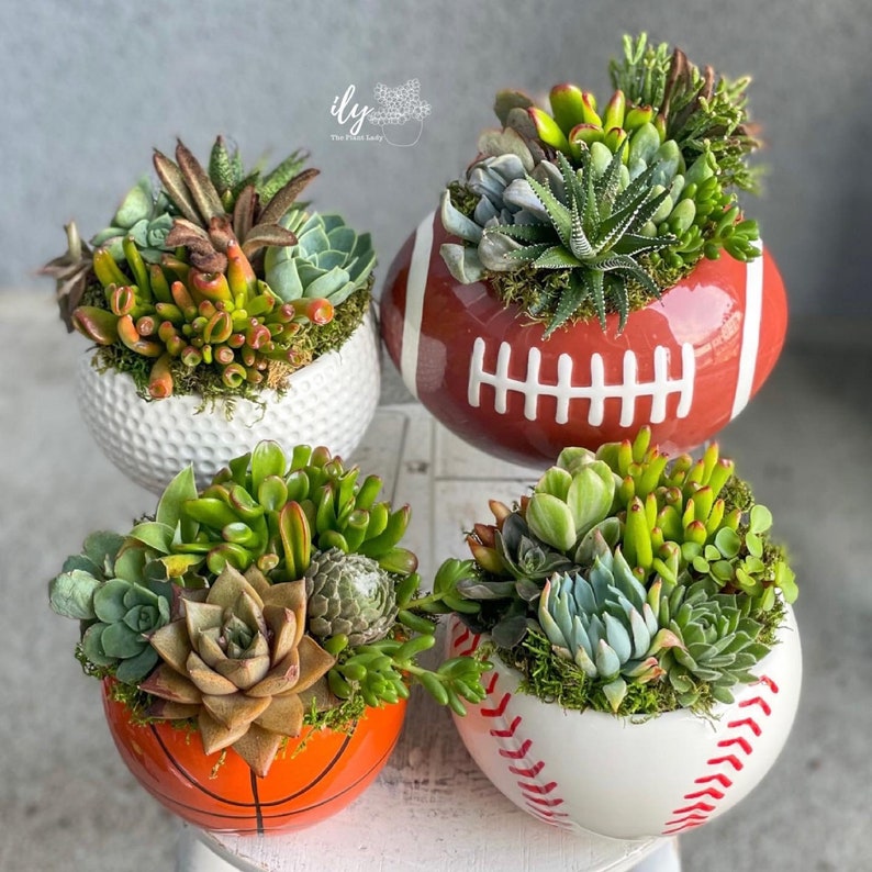 Sports Ball Succulent Arrangement | Ceramic Football Planter | Ceramic ...