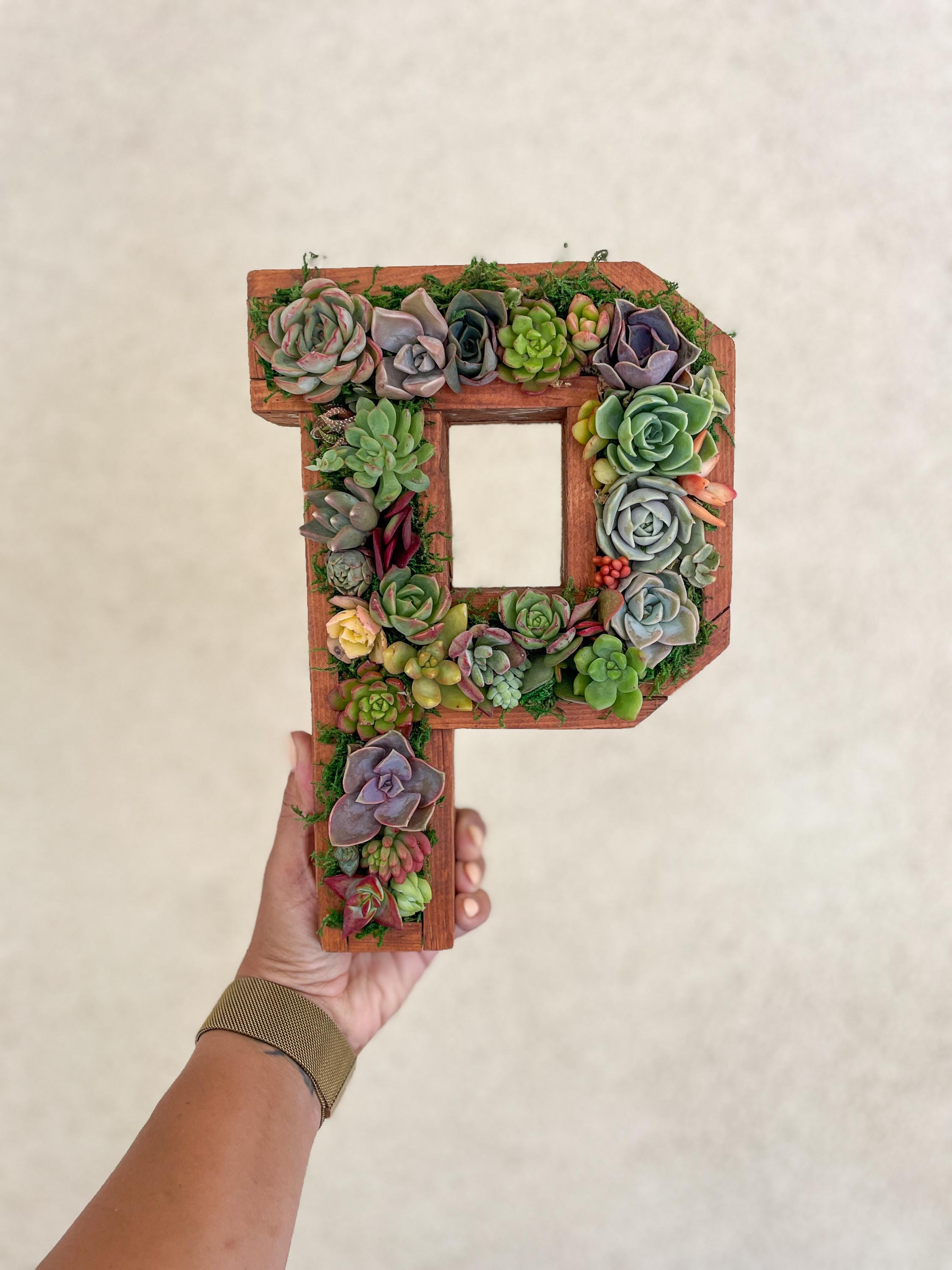 Vertical Succulent Garden Letters, Live Succulents in Wooden Letter ...