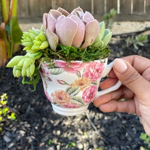 Vintage Floral Teacup Planters Succulent Arrangements, Adorable Teacups ...