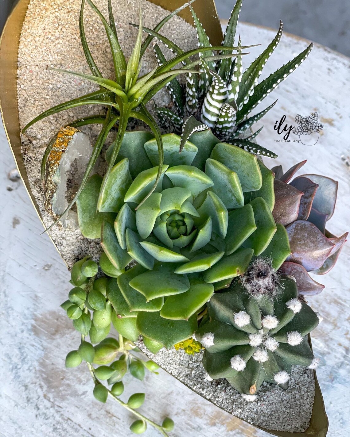 Gold Crescent Moon Succulent Arrangement Metal Moon Planter - Etsy