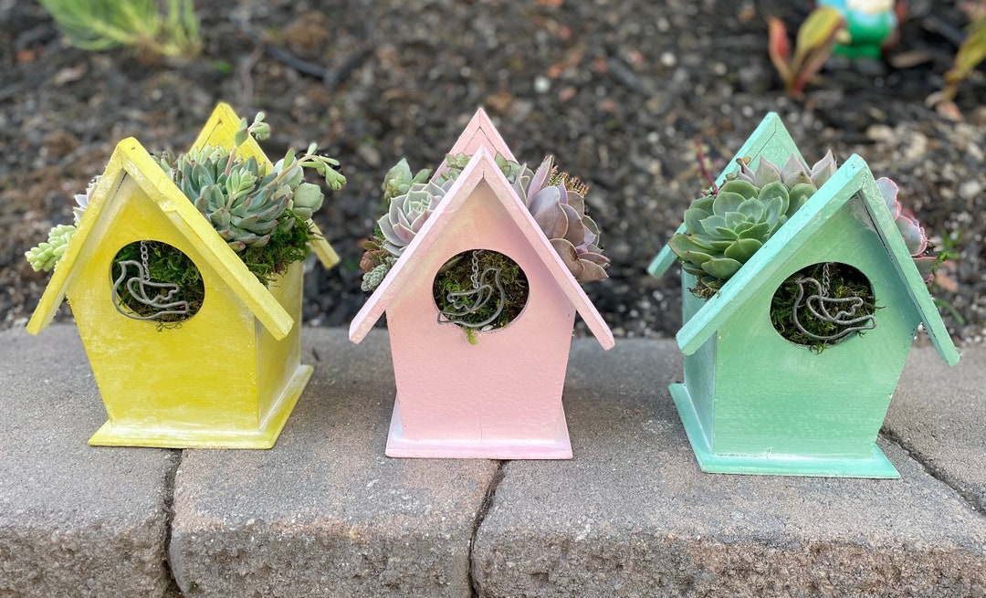 Succulent Birdhouse, Birdhouse Planter, Succulent Arrangements, Mother ...