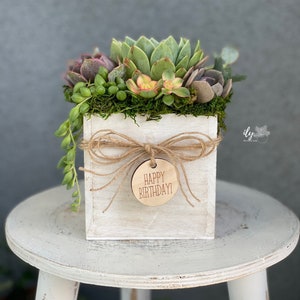 Custom Succulent Arrangement for All Occasions | Christmas | Birthday ...