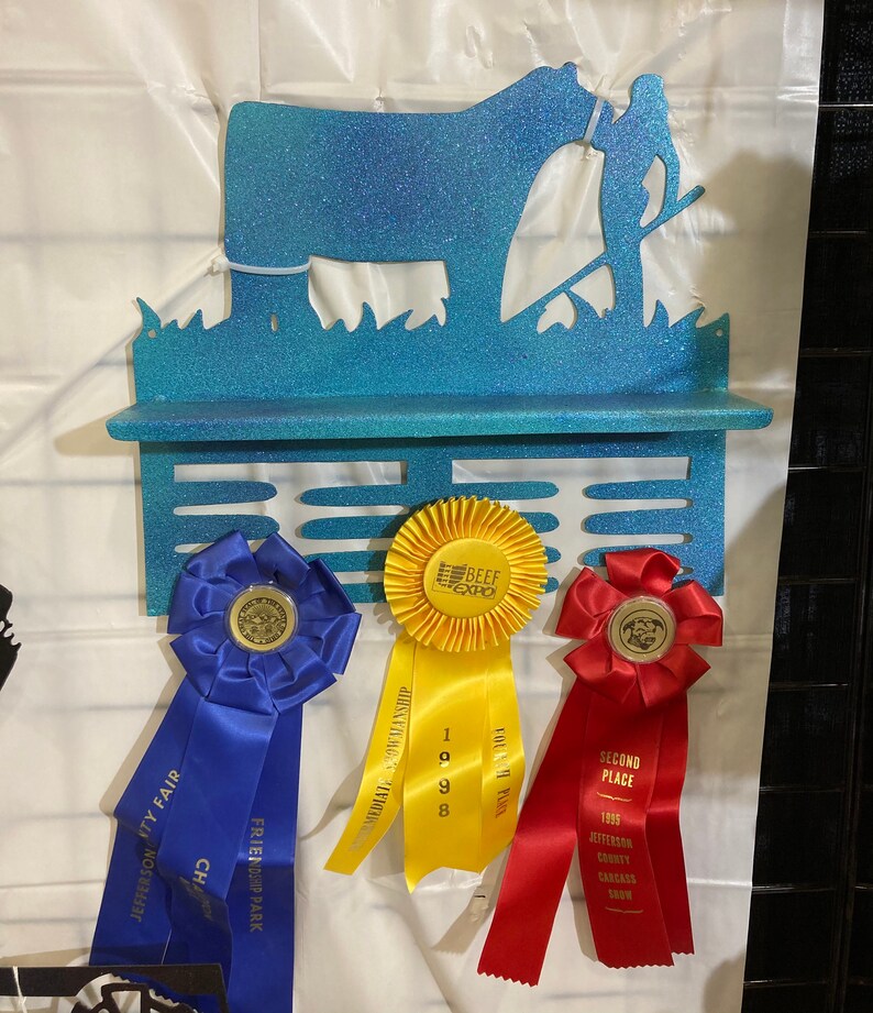 Personalized Show Ribbon Holder Can Come in ANY Color 12in | Etsy