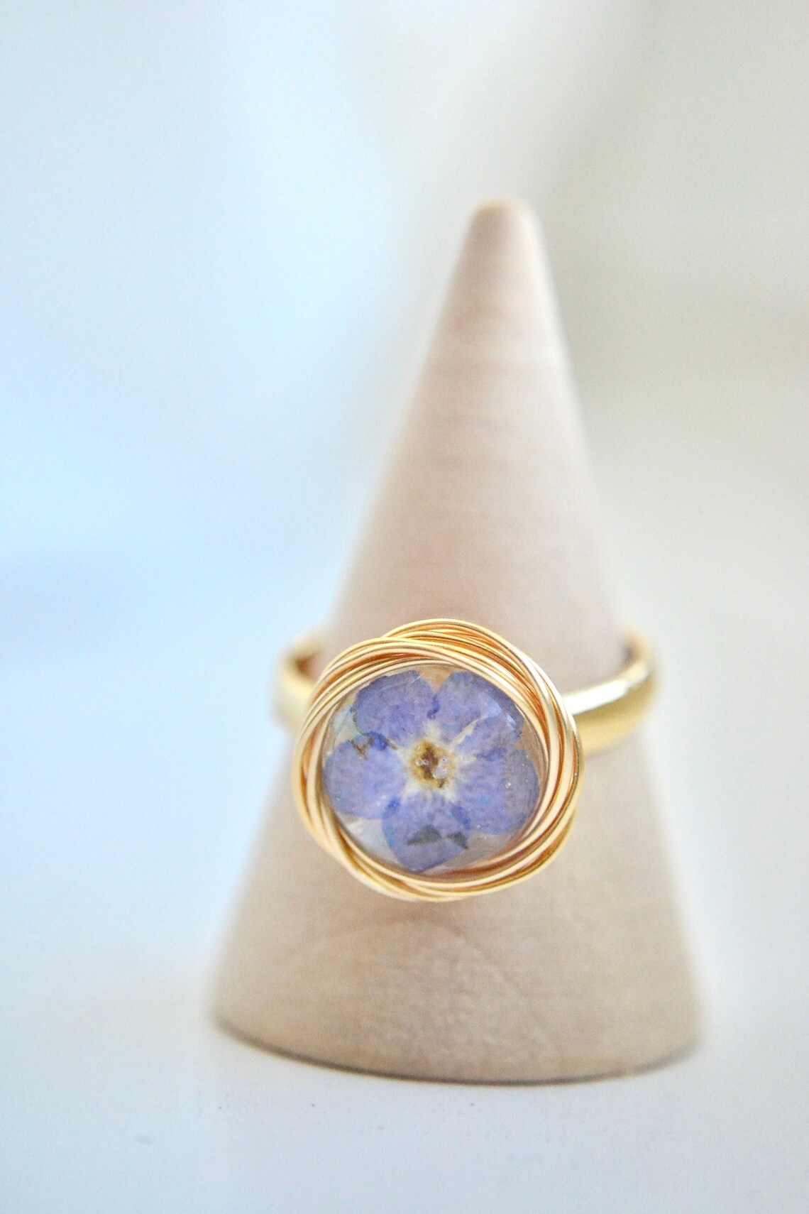 Forget Me Not Wire Wrapped Adjustable Ring, Bird Nest Pressed Flower ...