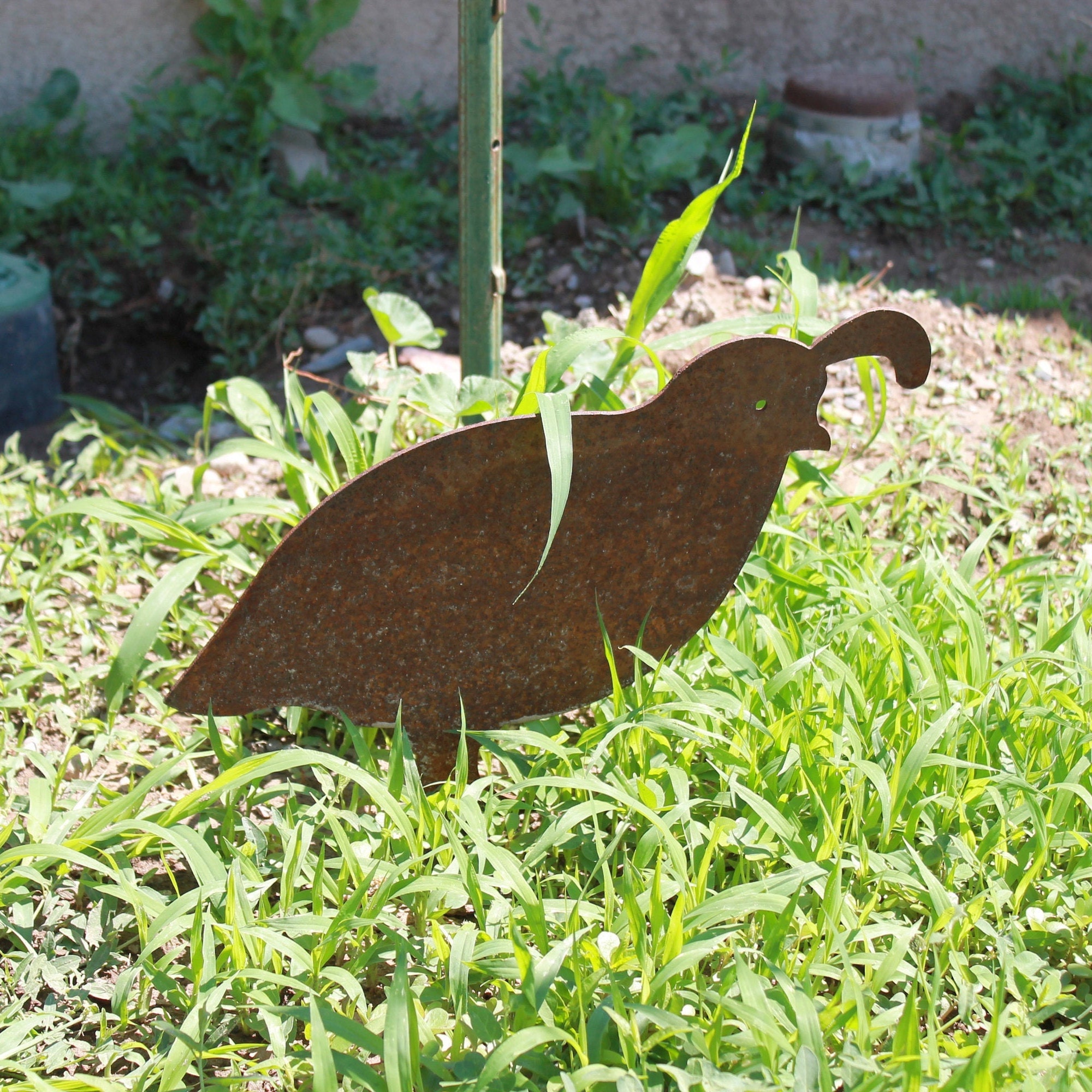 Quail Yard Decor - Etsy