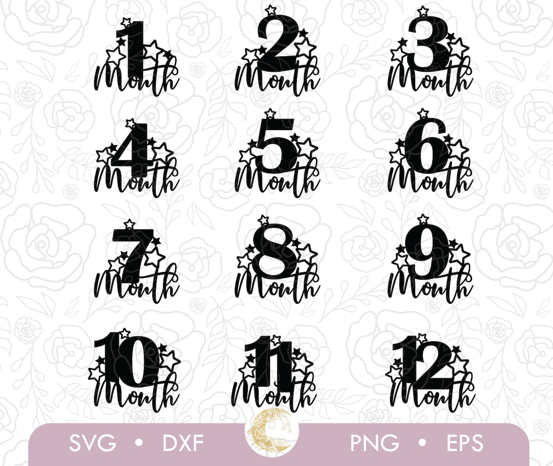 Baby Months Bundle SVG Baby Cake Topper Bundle Svg Monthly | Etsy