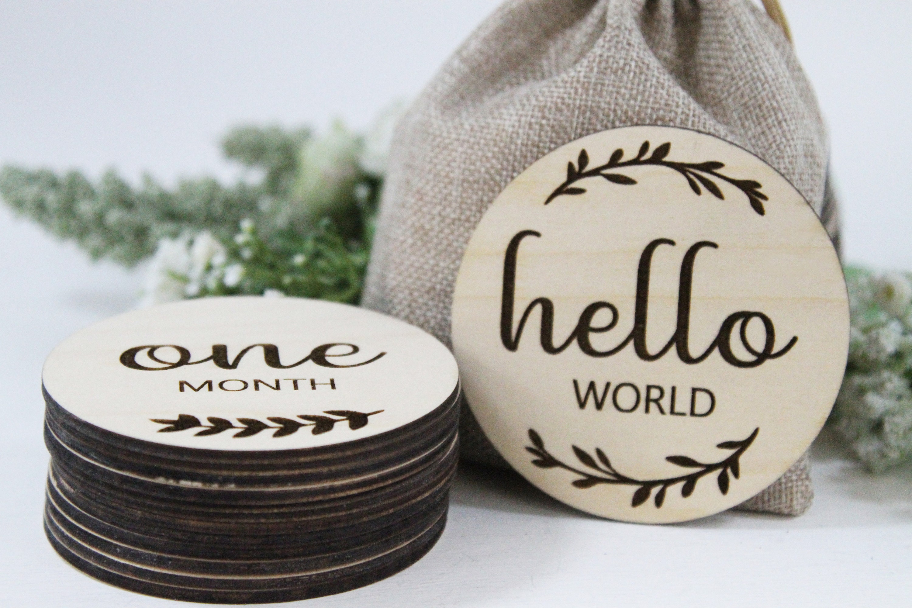 Engraved Hello World Baby Milestone Discs / Pack of 13 Discs / - Etsy UK