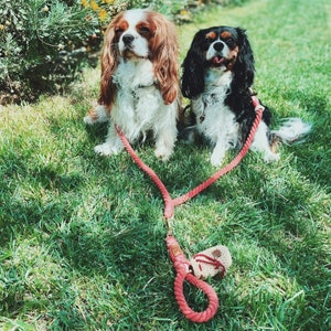 Double Dog Leash Dual Dog Lead Double Rope Dog Leash Dual Rope Lead ...