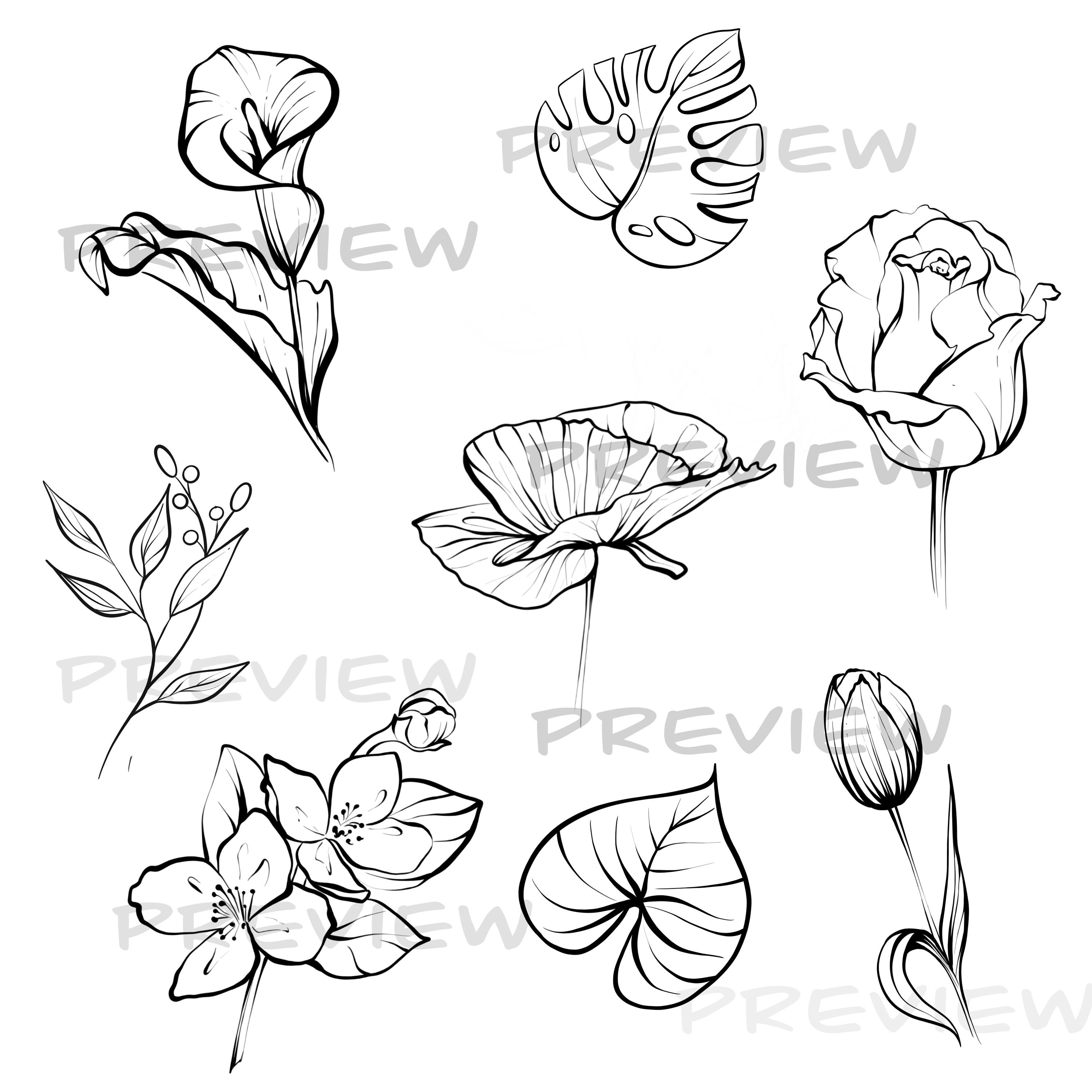 Botanical Floral Stamp Set for Procreate, Floral Tattoo Design, Flower ...
