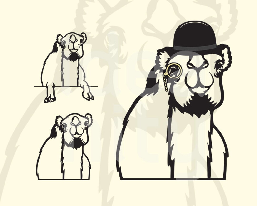 Camel Face SVG, Peeking Camel Face Clipart, Camel Silhouette, Shirt ...