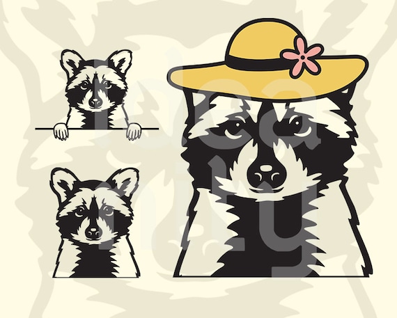 Funny Raccoon SVG Files for Cricut Peeking Raccoon Face - Etsy