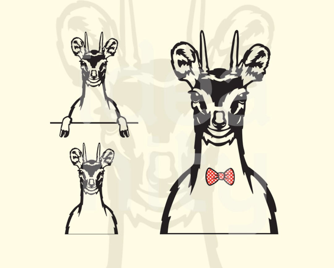 Klipspringer Face SVG: Peeking Animal Clipart, Laser Cut File - Etsy