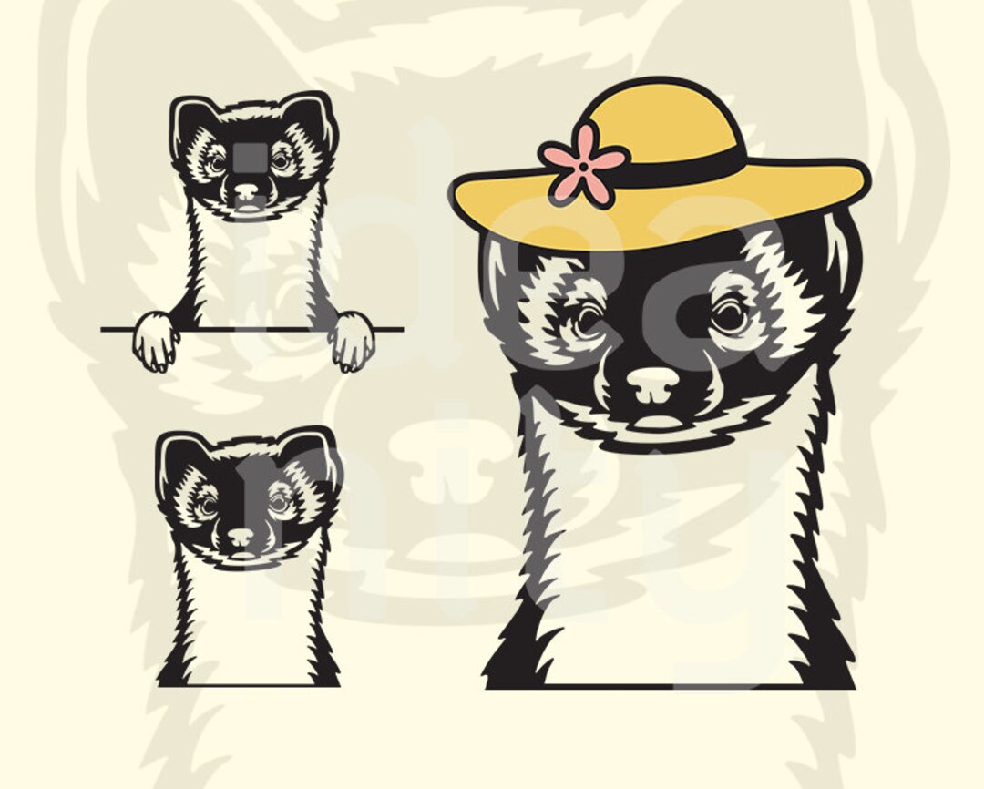 Weasel Face SVG, Peeking Weasel Face Clipart, Shirt Design, Printable ...