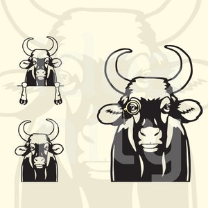 Gaur Face SVG, Peeking Gaur Face Clipart, Gaur Silhouette, Shirt Design ...