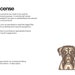 Boxer Multilayer Dog Mandala SVG, Mandala Dog Breeds, 3D Multilayer ...