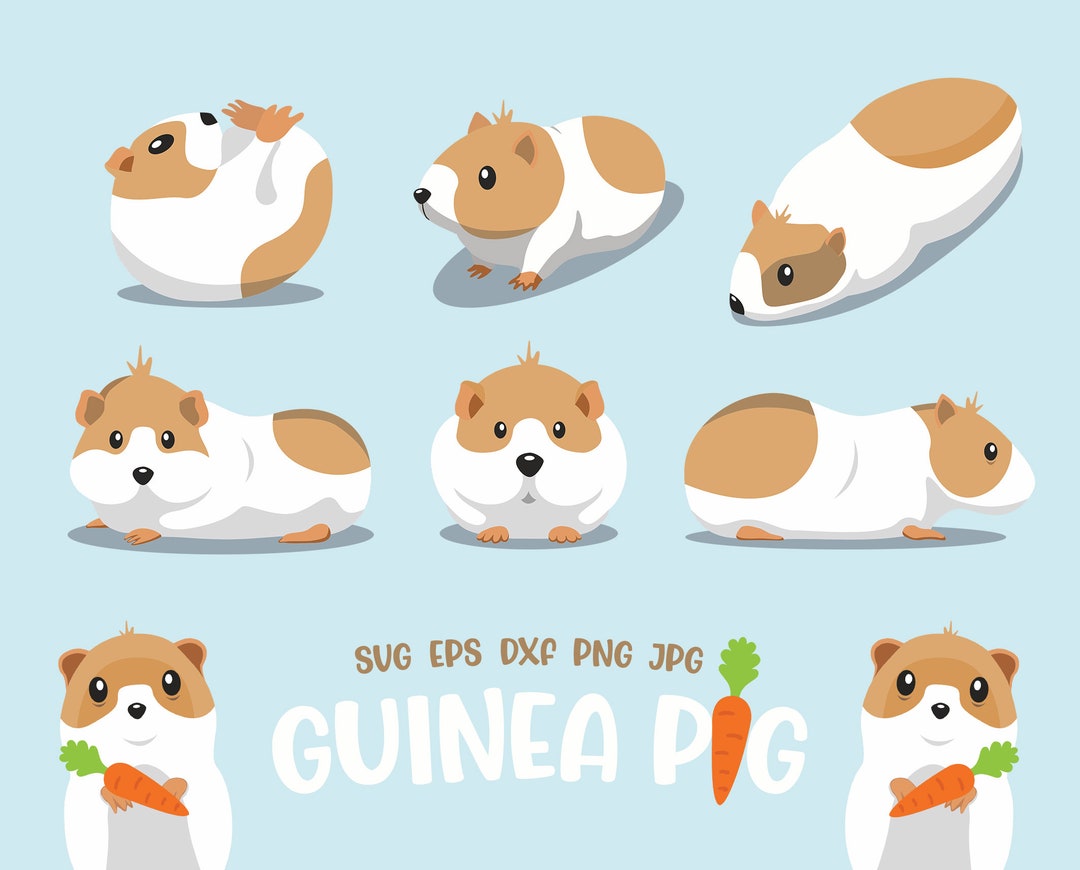 Guinea Pig SVG, Cute Guinea Pig Clipart, Guinea Pig Vector Design, SVG ...