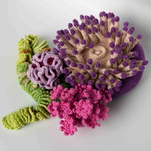 Coral Crochet Pattern, Crochet Coral Reef, DIY Amigurumi Aquatic Plant ...