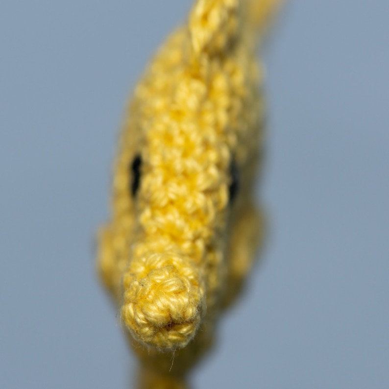 Yellow Tang Crochet Pattern, Amigurumi Yellow Fish, Coral Reef Fisch ...