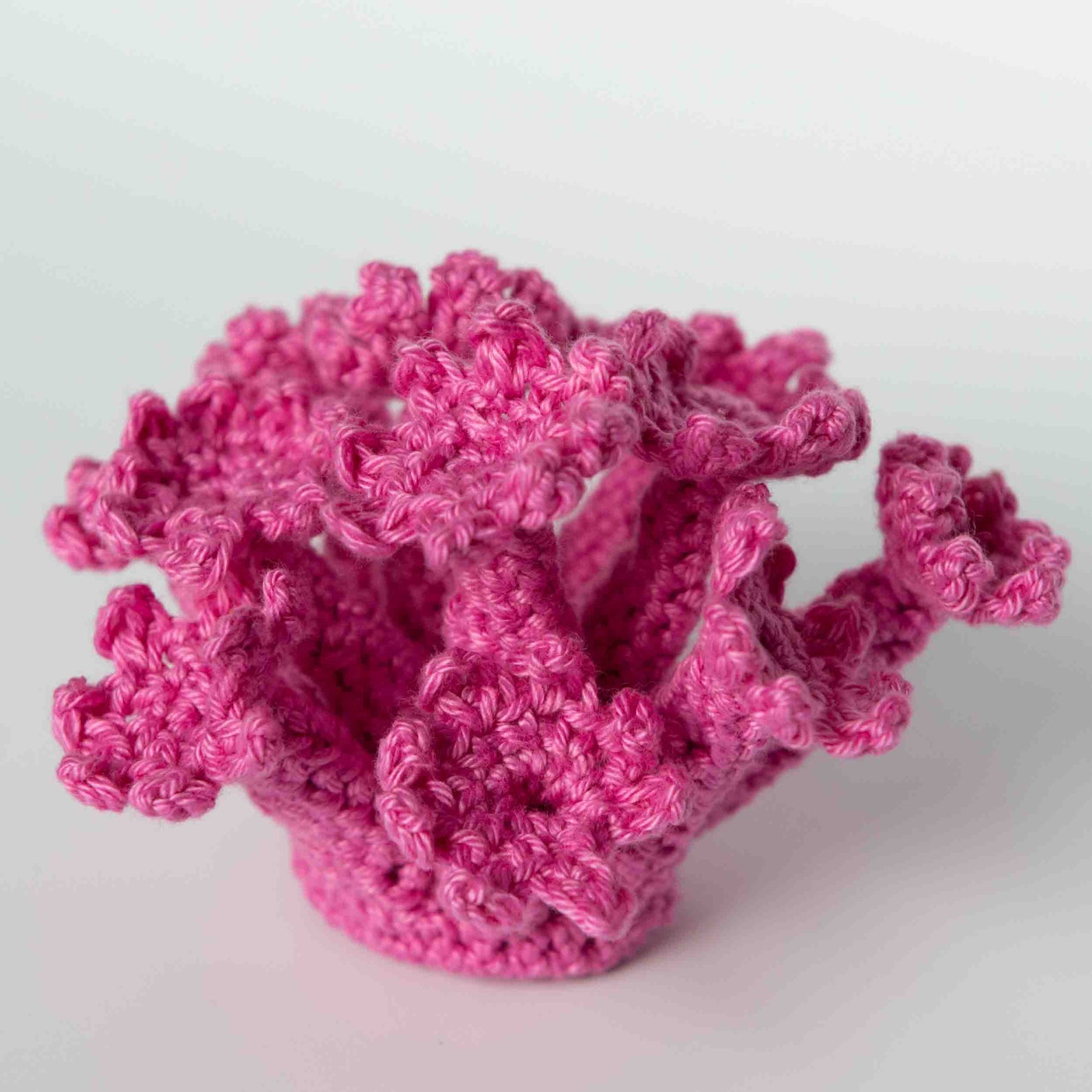 Coral Crochet Pattern, Crochet Coral Reef, DIY Amigurumi Aquatic Plant ...