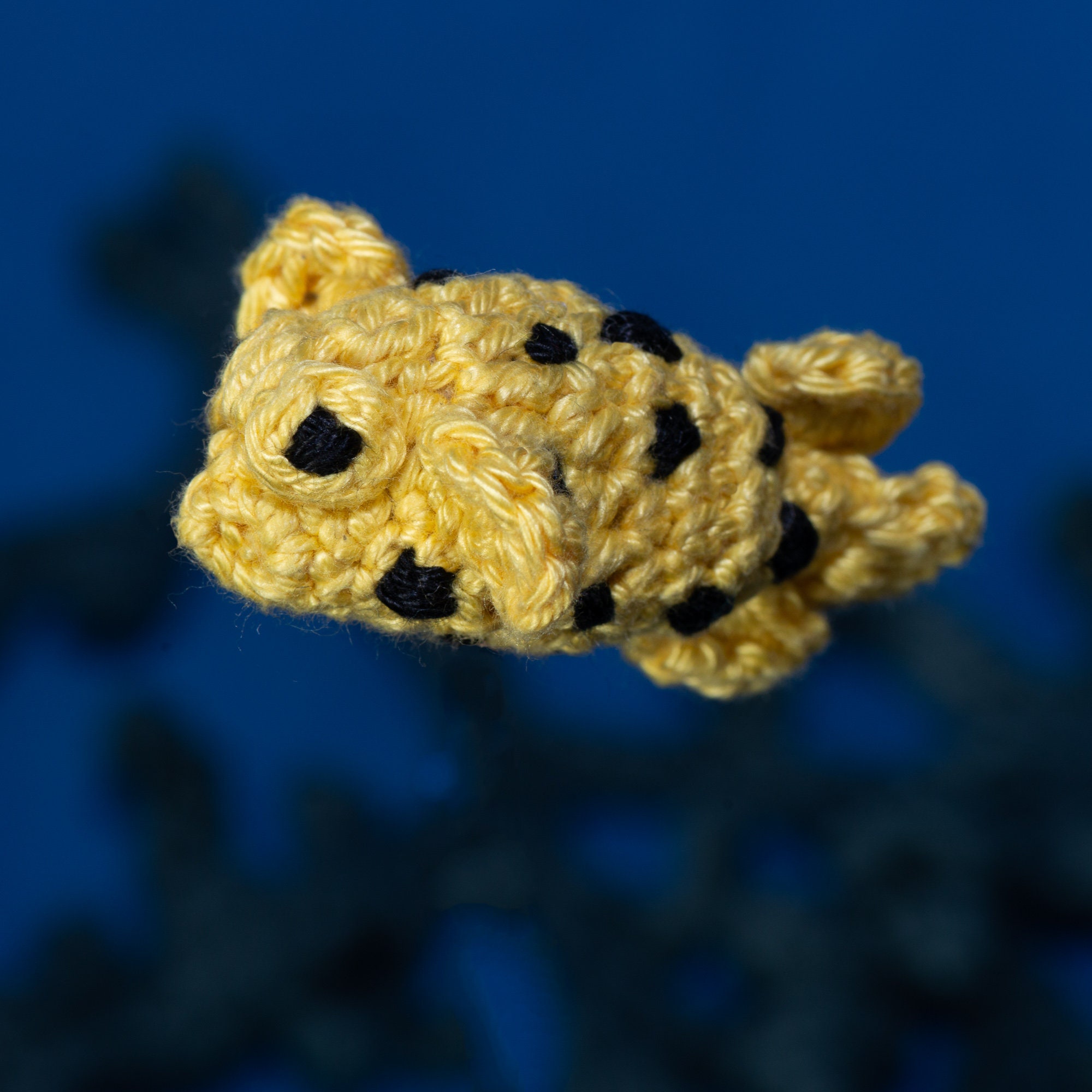 Boxfish Crochet Pattern Smal Yellow Fish Amigurumi Little - Etsy