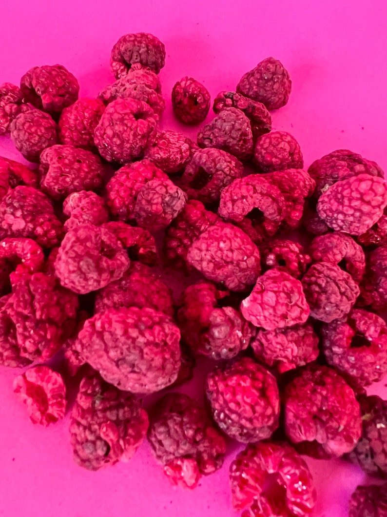 Freeze Dried Raspberries Healthy Natural Snacks Office - Etsy