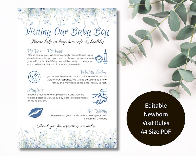Editable Newborn Rules for Visiting Our Baby Boy, New Baby Rules A4 ...