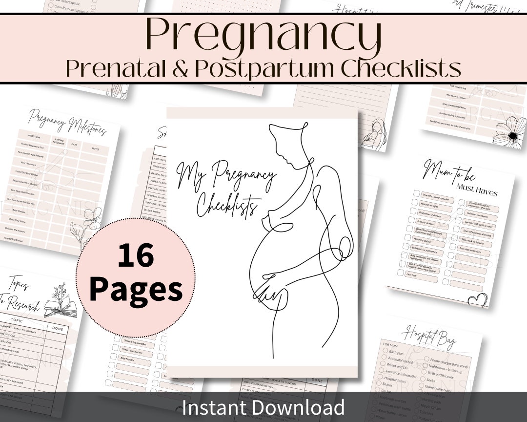 Prenatal Pregnancy Planner Checklists, Birth Plan Template, Pregnancy ...